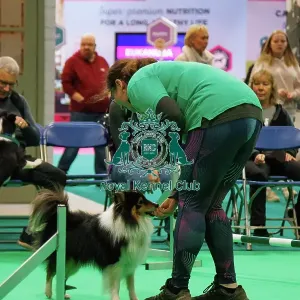 Crufts 2025 Art Prints, Posters & Puzzles