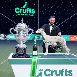 Crufts 2025 Art Prints, Posters & Puzzles