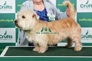 Official photos from Crufts 2023 Art Prints, Posters & Puzzles