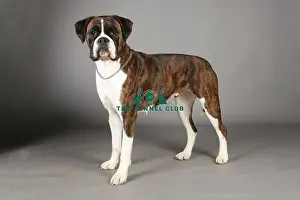 Working Group Art Prints, Posters & Puzzles