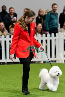 Crufts 2024 Collection of Photo Prints and Gifts #6