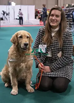 Laura Wild Art Prints, Posters & Puzzles