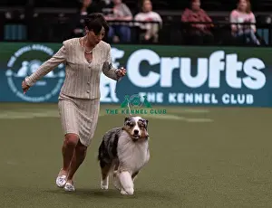 The Royal Kennel Club Ltd.: Melanie Raymond
