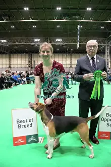 Crufts 2026 Best of Breed Art Prints, Posters & Puzzles