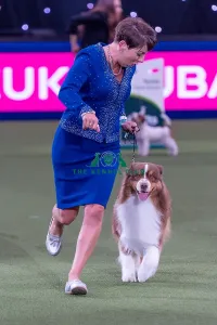 The Royal Kennel Club Ltd.: Melanie Raymond