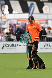 Crufts 2025 Obedience Art Prints, Posters & Puzzles