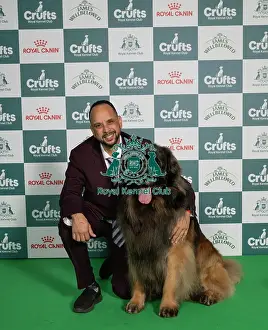 Crufts 2026 Best of Breed Art Prints, Posters & Puzzles