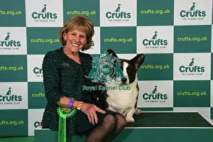 The Royal Kennel Club Ltd.: Welsh Corgi Cardigan